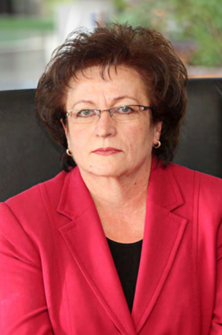 Branislava Milekić — Imovina političara u Bosni i Hercegovini