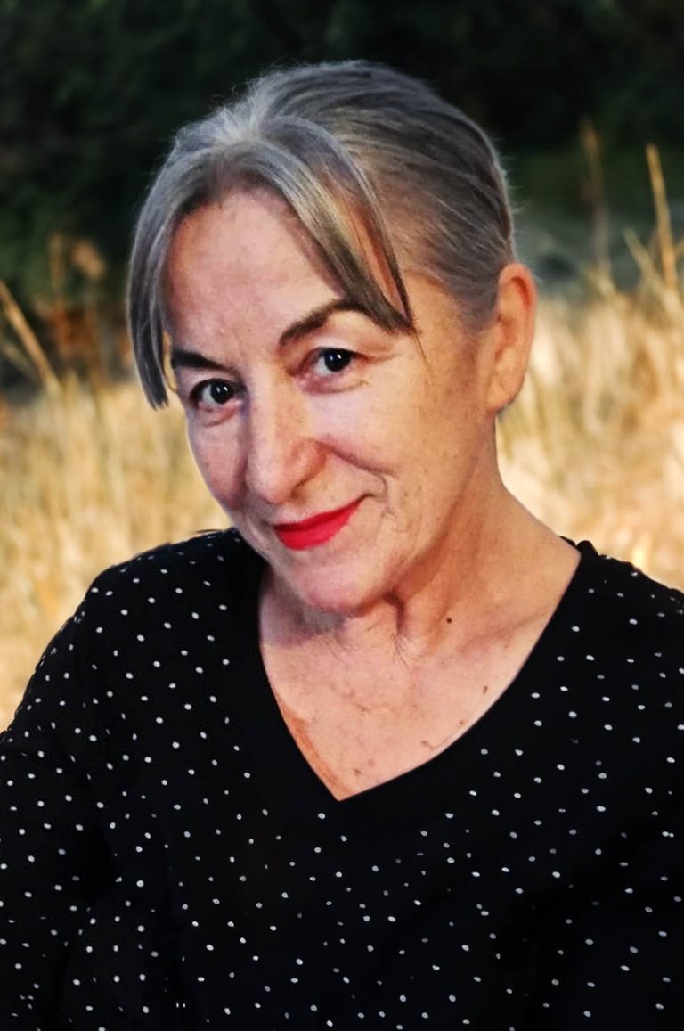 Spomenka Mićić — Imovina političara u Bosni i Hercegovini